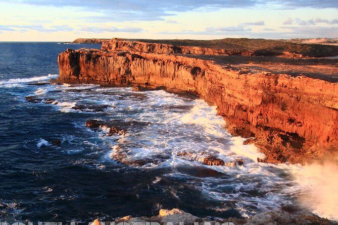 Jurlique Farm Private Immersion Tour - Who Will Enjoy This Experience?