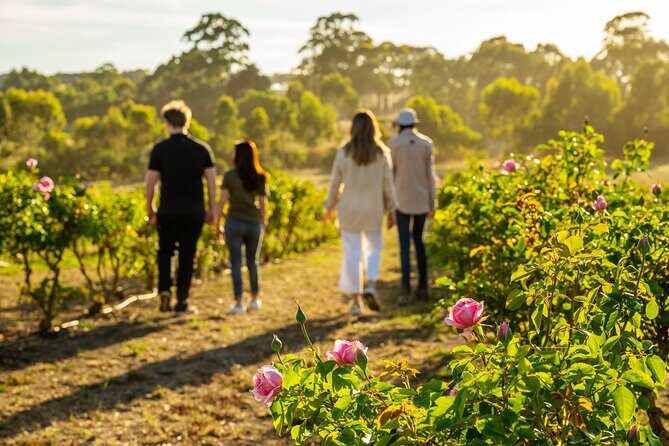 Jurlique Farm Tour - Key Points