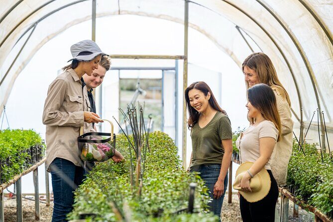 Jurlique Farm Tour - What You’ll See and Experience on the Tour