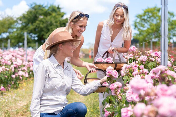 Jurlique Handpicked Masterclass - Discover Authentic Skincare at the Jurlique Handpicked Masterclass