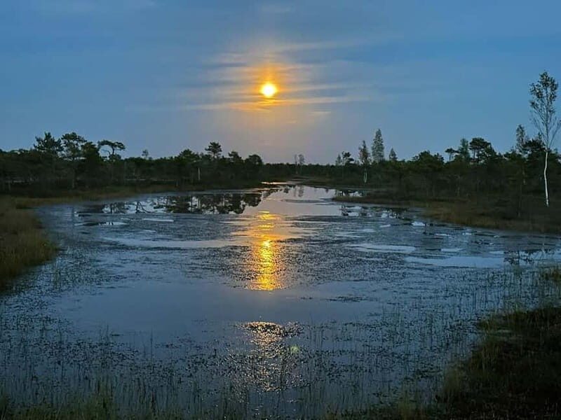 Jurmala: Kemeri National Park Sunset Trip - An In-Depth Look at the Experience