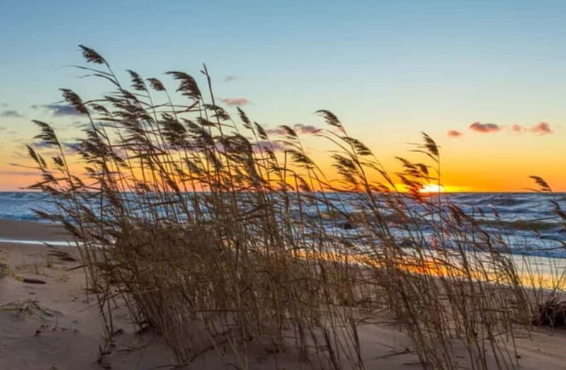 Jurmala,Kuldiga, Ragaciems beach, Kemeri N Park,Food & drink - What Travelers Say