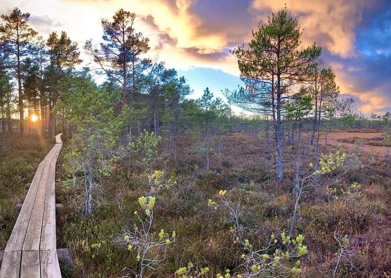 Jurmala,Kuldiga,Ragaciems Beach, Kemeri N park, Food & Drink - Key Points