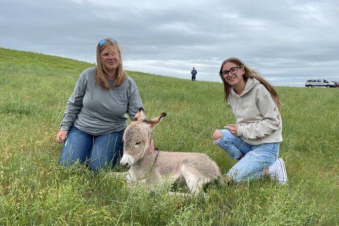 Just You & Your Group: Rushmore, Custer State Park & Crazy Horse - Frequently Asked Questions (FAQs)