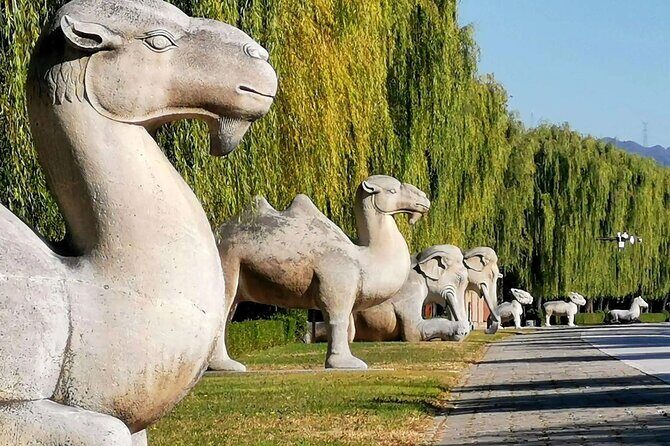 Juyongguan Great Wall,Sacred Road and Ming Tombs Private Day Tour - Key Points to Remember