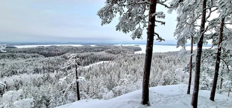 Jyvaskyla: Ice Fishing Experience with a Finnish Guide - Key Points