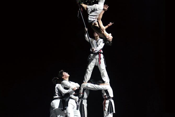 K-Kick Taekwondo Show Ticket at Seoul - Introduction