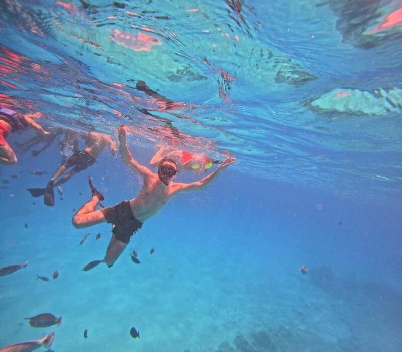 kaafu tour with lunch - Key Points