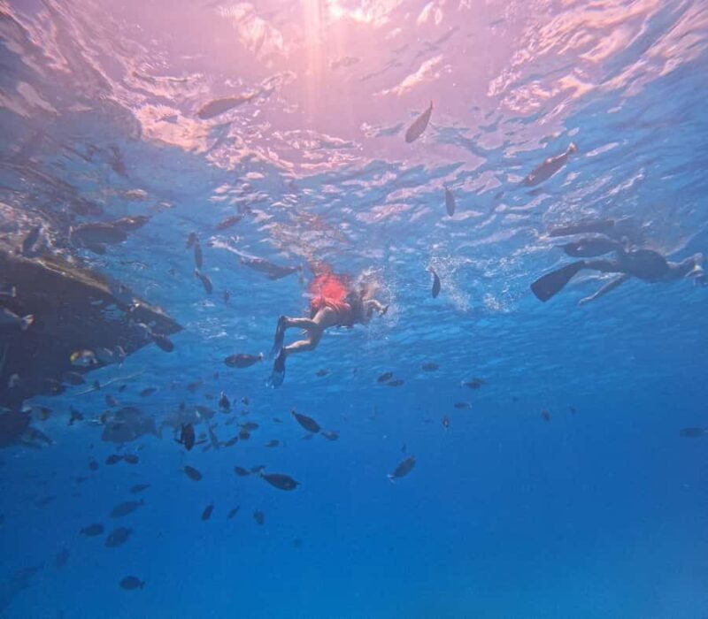 kaafu tour with lunch - The Itinerary in Detail