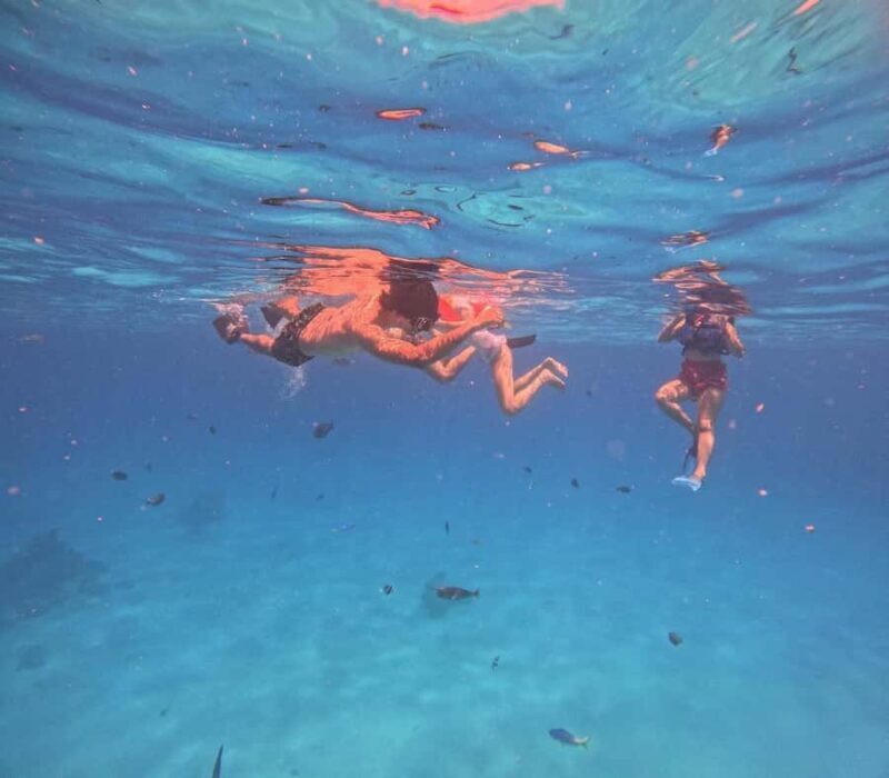 kaafu tour with lunch - The Sum Up: Is the Kaafu Tour with Lunch Worth It?