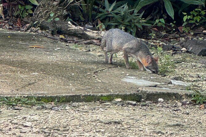 Kaan Luum Lagoon and Cenote Adventure - Who Will Love This Tour?
