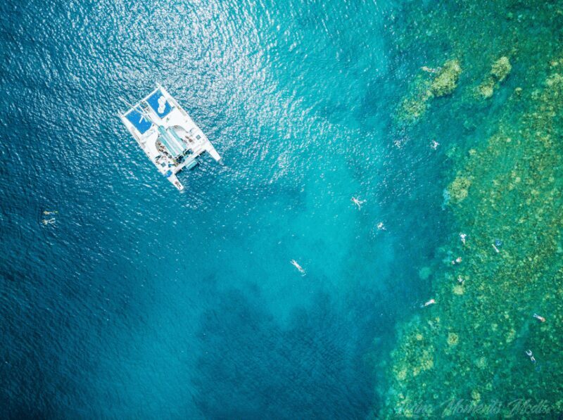 Ka'anapali Beach: Coral Reef Snorkel and Turtle Spotting - What Travelers Love (and What to Consider)