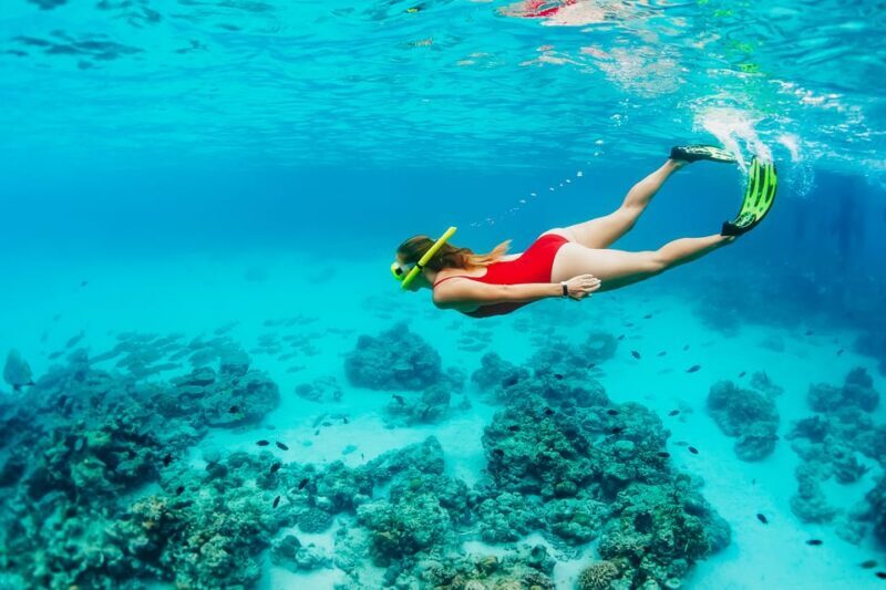 Ka'anapali Beach: Coral Reef Snorkel and Turtle Spotting - Final Thoughts