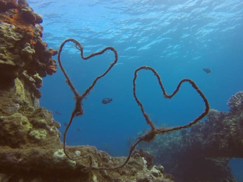 Kaanapali Lahaina: Intro Scuba Dive in Maui Strong Swimmers - Practical Details and Considerations