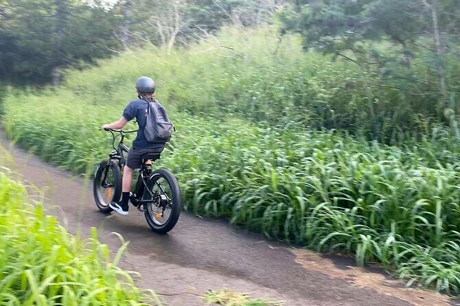 Kaanapali to Kapalua Maui Explorer Electric Bike Rental - The Overview: What You Can Expect