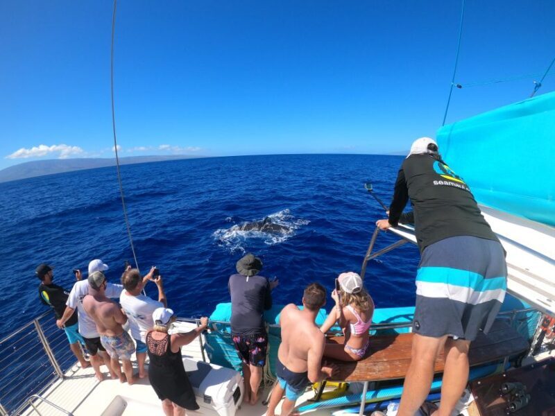 Kaanapali: Whale Watching Cruise with Open Bar - What Makes Each Segment Special