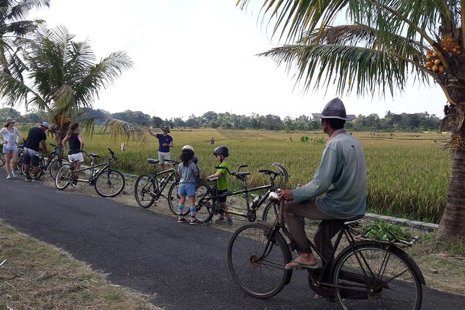 Kaba Kaba Reason for Harmony Cycling - Key Points