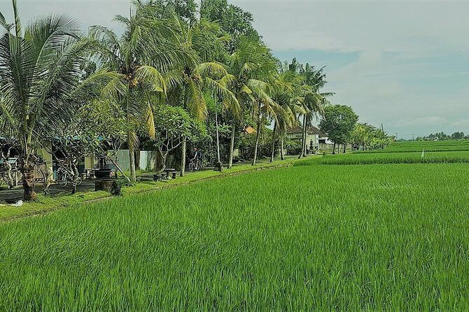 Kaba Kaba Reason for Harmony Cycling - Final Thoughts