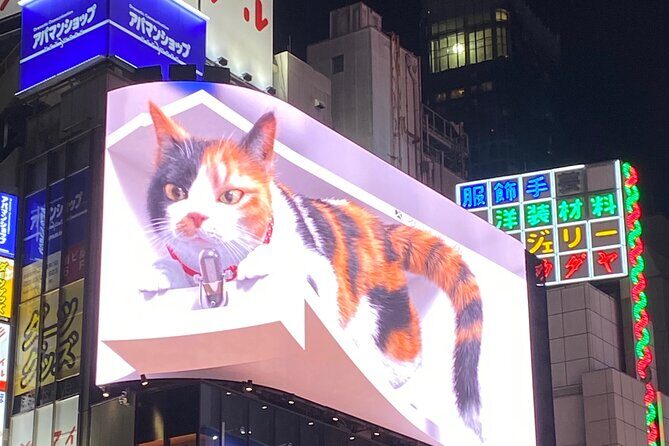 KABUKICHO DEEP TOUR + DINNER & BAR HOP w/local certified guide - Key Points