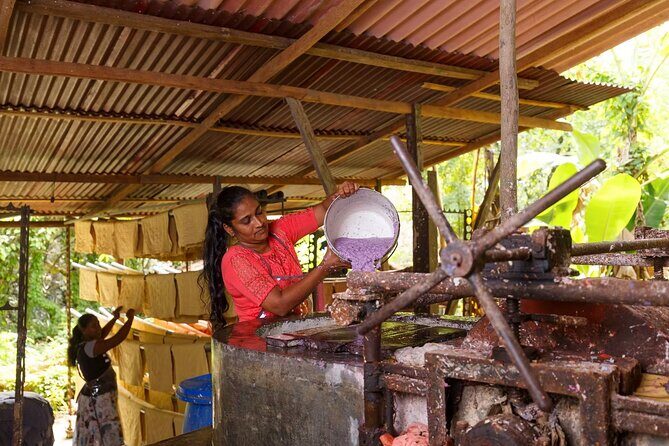 Kadadasi and the Backyard Forest - A Practical Look at the Tour Experience