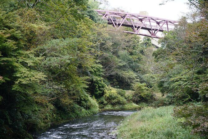 Kaga city private 1 day Photoshoot by professional photographer - What Sets This Tour Apart?