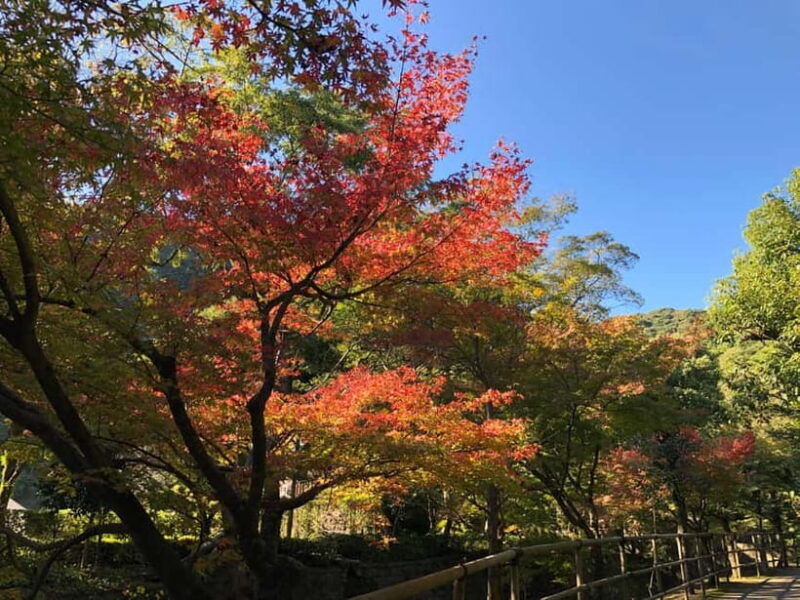 Kagoshima: A Journey Through the Beauty and Tradition - FAQ