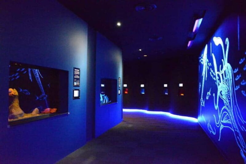 Kagoshima Aquarium Admission Ticket - The Whale Shark Encounter