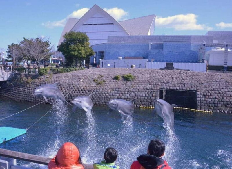 Kagoshima Aquarium Admission Ticket - Practical Considerations