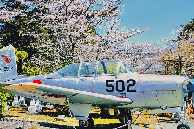 Kagoshima Chiran route by Car - Experiencing Local Culture and Cuisine