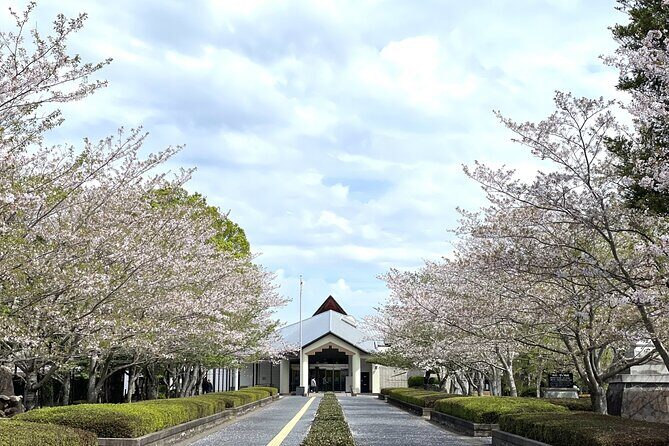 Kagoshima Chiran route by Car - Who Would Enjoy This Tour?