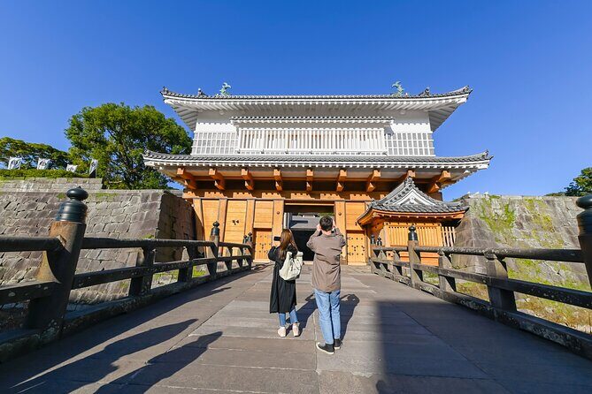 Kagoshima Custom Tour with Private Car and Driver - Natural Landmarks and Views: Shiroyama and Sakurajima