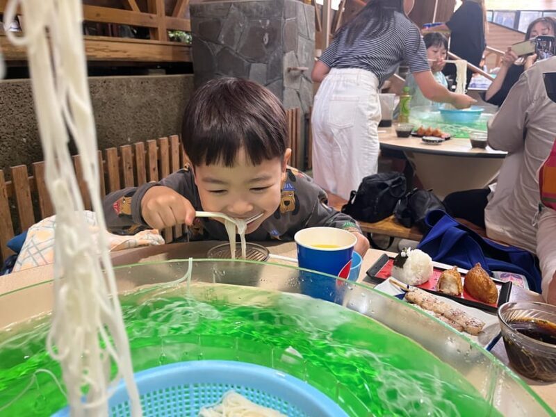 Kagoshima: Ibusuki City and Mount Kaimon Dake Tour - Authenticity and Value