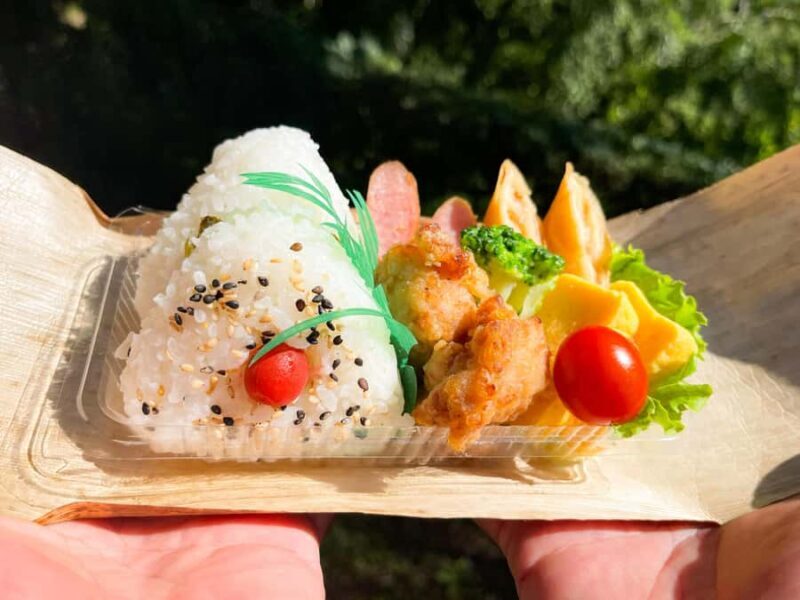 Kagoshima Kirishima National ParkVolcano Trek & Bento Lunch - Authentic Experiences