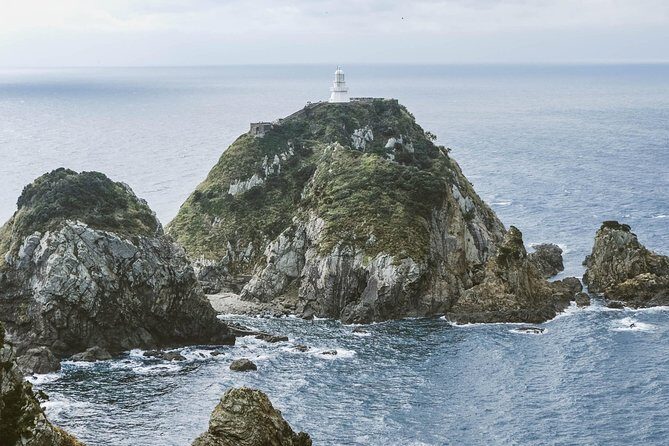 Kagoshima Private Customized Full Day Tour - An In-Depth Look at the Kagoshima Private Tour