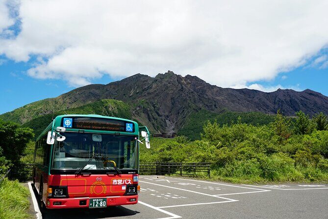 Kagoshima Private Shore Excursion Sakurajima and Sengan-en - Final Thoughts