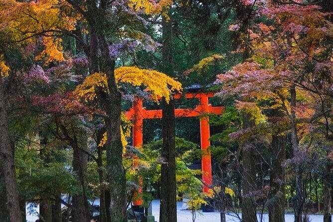 Kagoshima Private Vehicle Service with Restaurant Reservation - A Closer Look at the Kagoshima Private Vehicle Tour