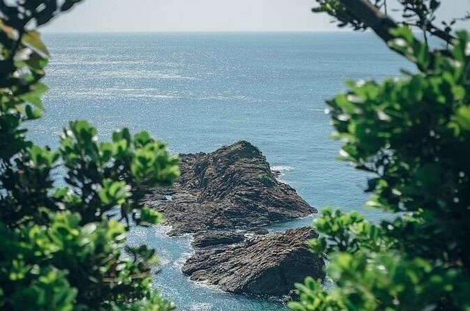 Kagoshima Private Vehicle Service with Restaurant Reservation - FAQ