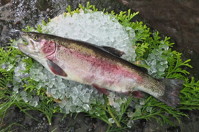 Kagoshima to Miyazaki Custom Tour with private car and driver - Key Points