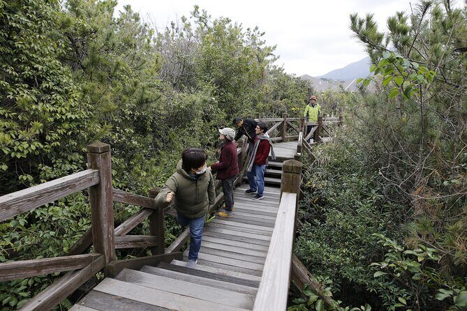 Kagoshima Virtual Reality Walk Activity - The Camellia Oil Extraction: A Tactile Connection
