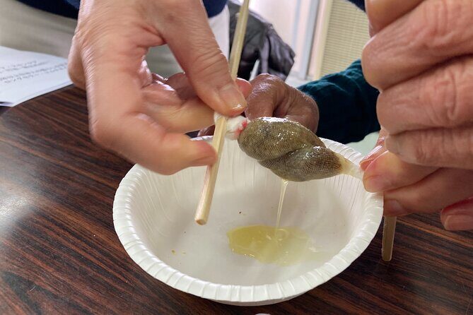 Kagoshima Virtual Reality Walk Activity - Who Will Appreciate This Experience Most?