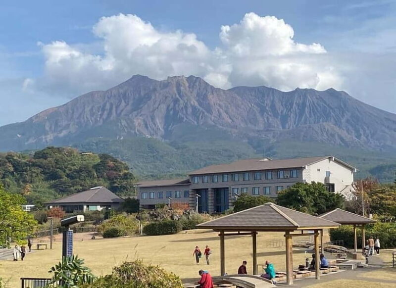 Kagoshima: Volcano, Coast & Hot Springs Guided Tour - Sakurajima Lava Fields: Standing Face-to-Face with Volcano Power