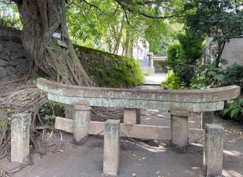 Kagoshima: Volcano, Coast & Hot Springs Guided Tour - Authentic Experiences with Local Insight