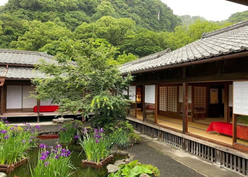 Kagoshima: Volcano & Nature Immersion Private Guided Tour - Who Will Love This Tour?