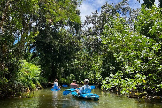 Kahana Bay River to Ocean: Kayak and Stand Up Paddle Board Rental - The Practical Side: Pricing, Duration, and Accessibility