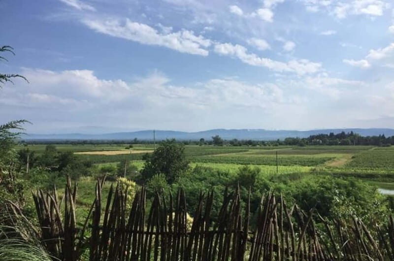 Kahketi: Full-Day Wine Tasting Tour with Lunch - Key Points