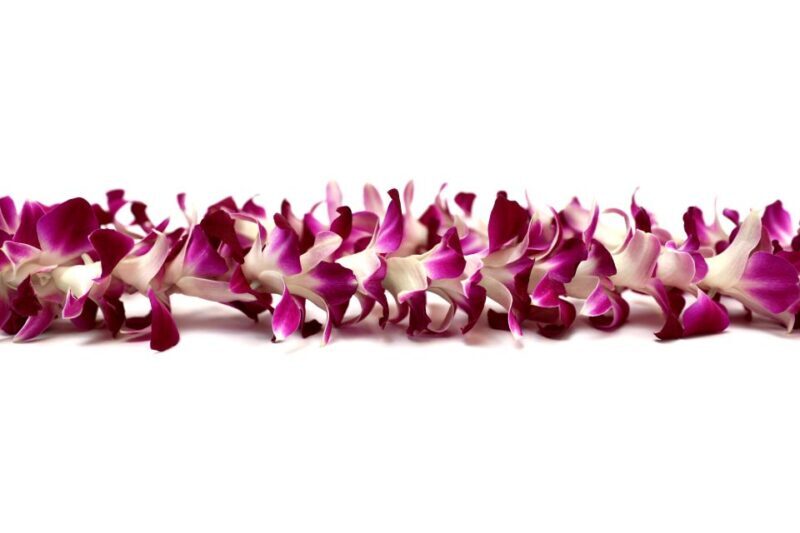 Kahului Airport: Maui Flower Lei Greeting Upon Arrival - Key Points