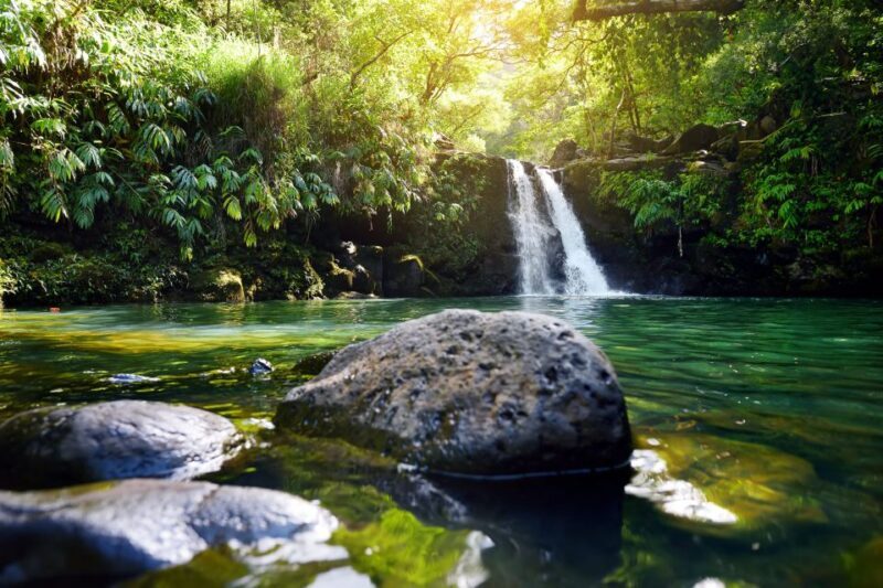 Kahului: Guided Rainforest and Waterfall Walk - A Closer Look at the Experience