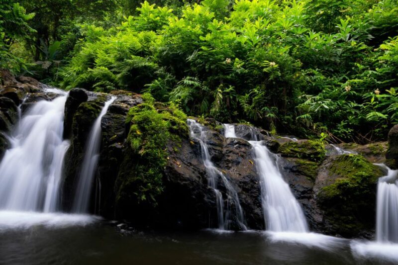 Kahului: Guided Rainforest and Waterfall Walk - Authentic Reviews & Highlights
