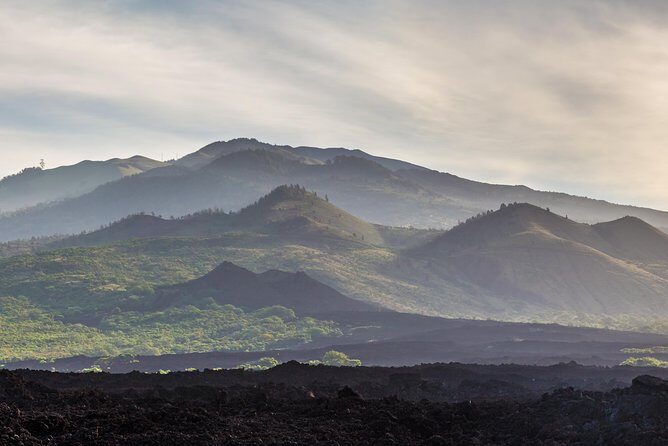 Kahului Shore Excursion: Private Tropics of Maui & Rainforest - Detailed Breakdown of the Itinerary