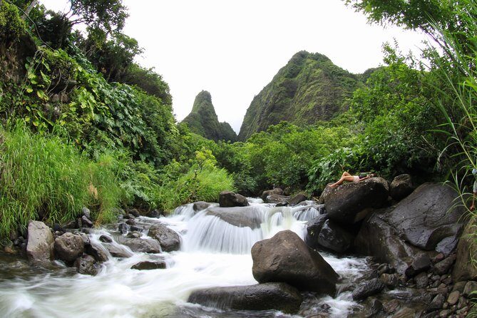 Kahului Shore Excursion: Private Tropics of Maui & Rainforest - Final Thoughts